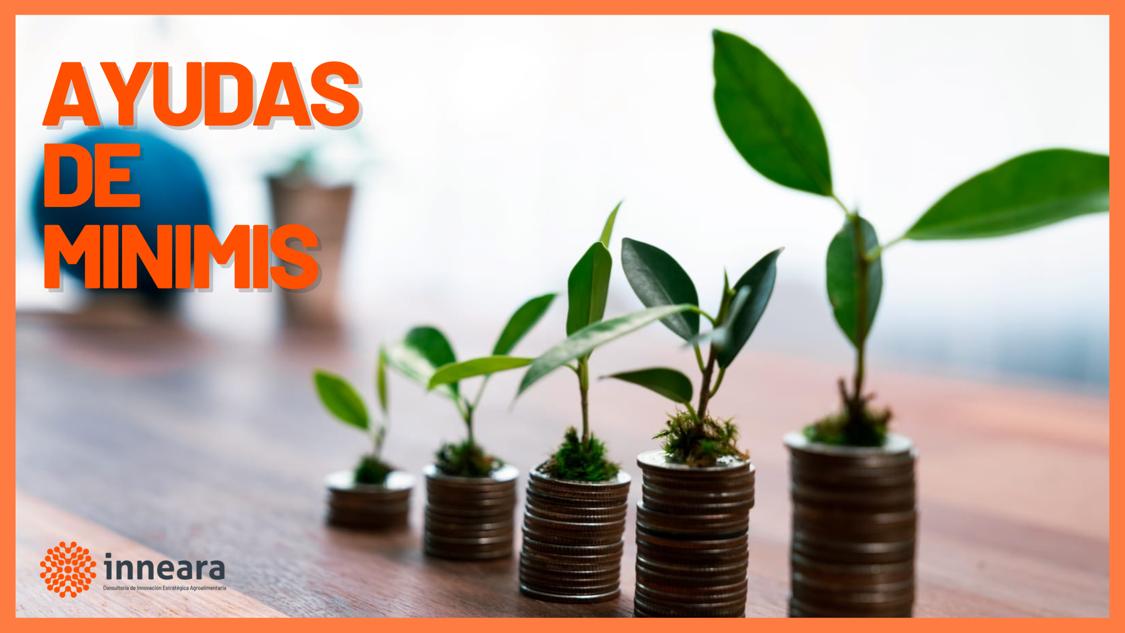 FINANCIACIÓN: AYUDAS DE MINIMIS: ¿QUÉ SON?